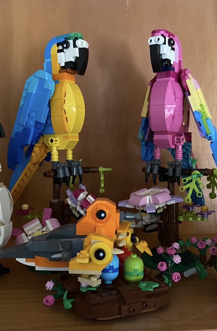 ~ EGG HUNT ~ - Page 2 - SANE Forums