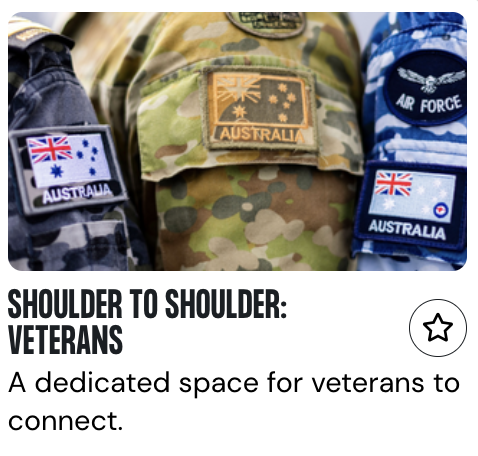 New Veteran Spaces: Shoulder to Shoulder - SANE Forums