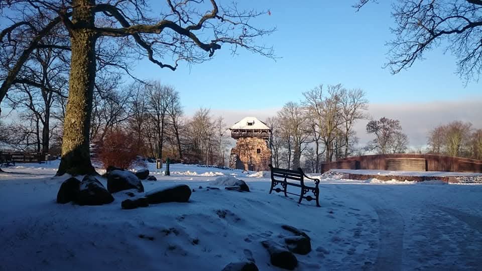 Our Dream Trip - SANE Forums