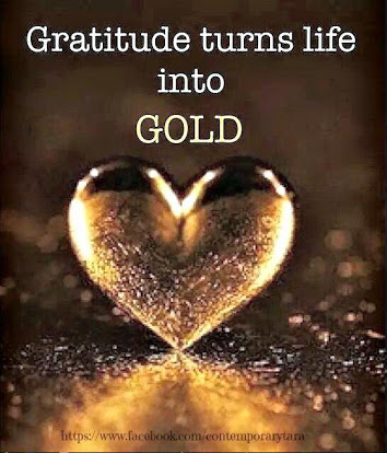 Gratitude - Page 4 - SANE Forums