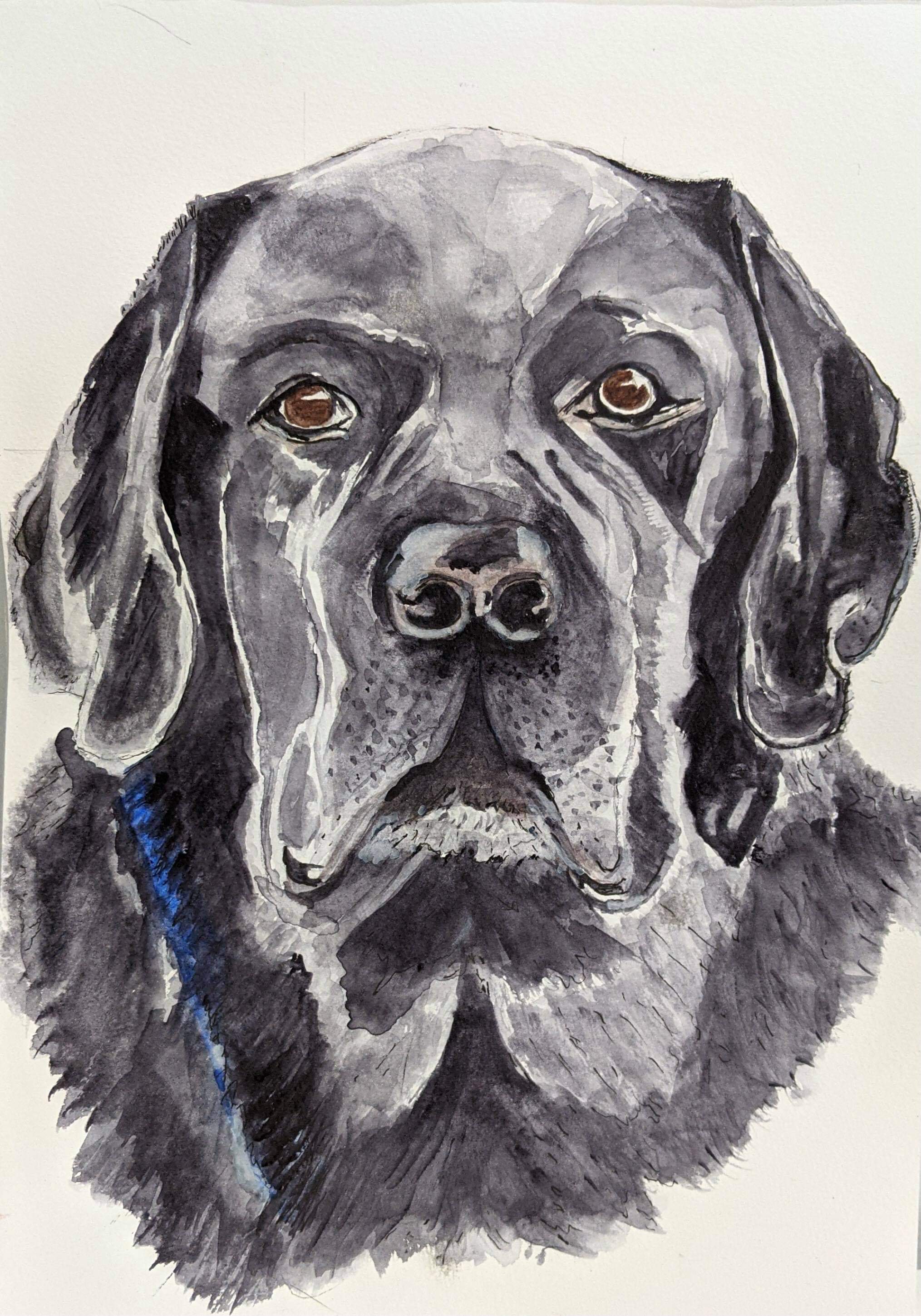 Depression is a language .... suicide is real. - SANE Forums